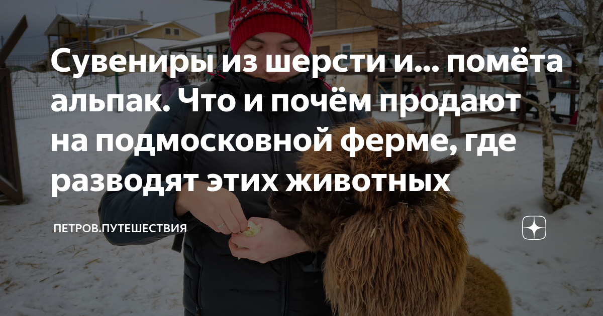 Сувениры из шерсти и помёта альпак Что и почём продают на