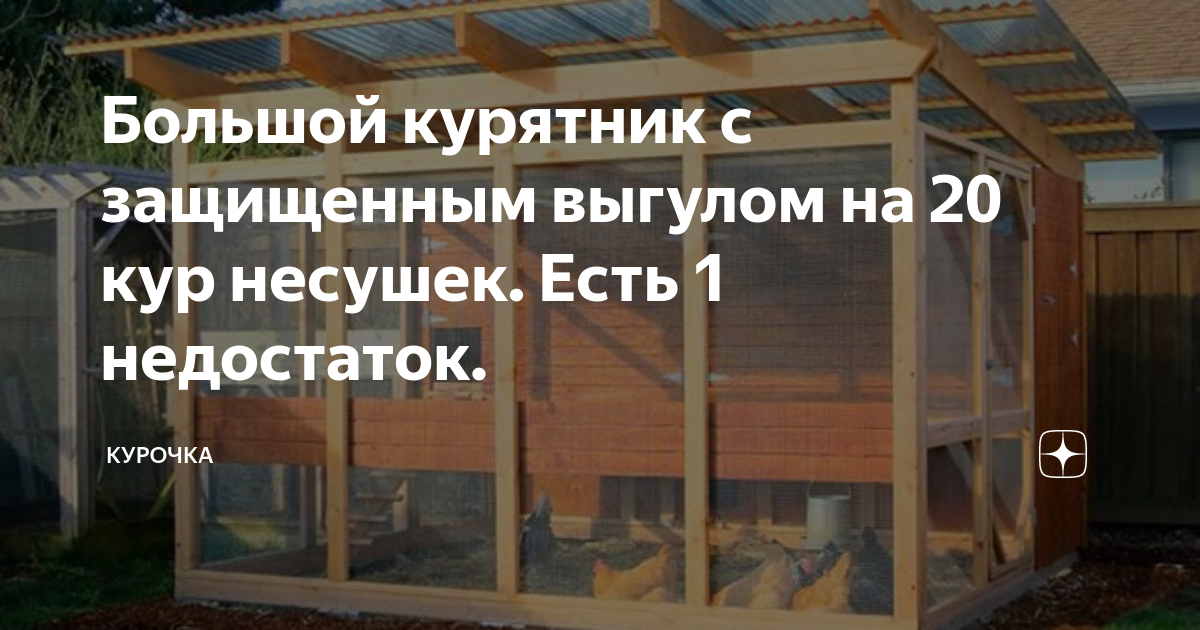 Большой курятник с защищенным выгулом на 20 кур несушек. Есть 1 ...