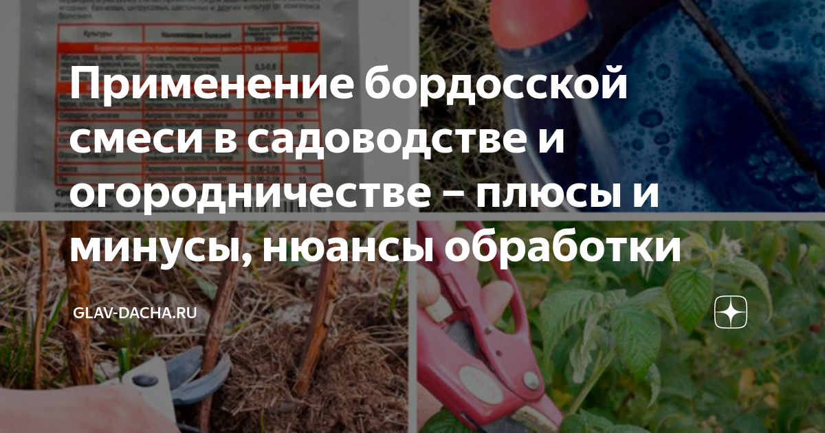 Применение бордосской смеси в садоводстве и огородничестве – плюсы и ...
