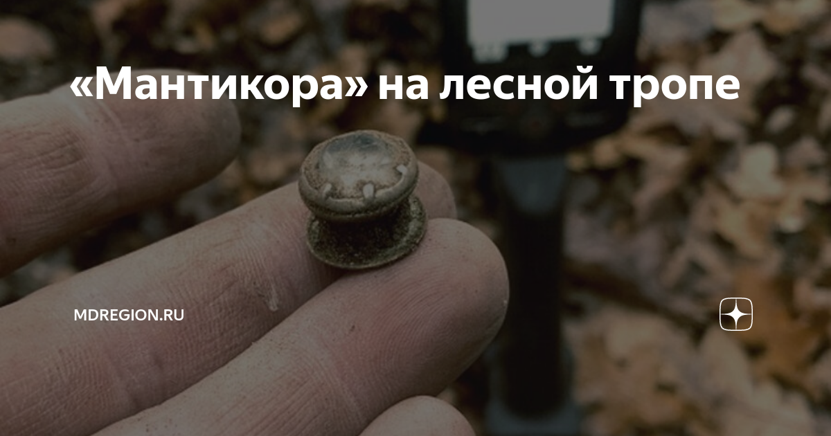 «Мантикора» на лесной тропе | MDREGION.RU | Дзен