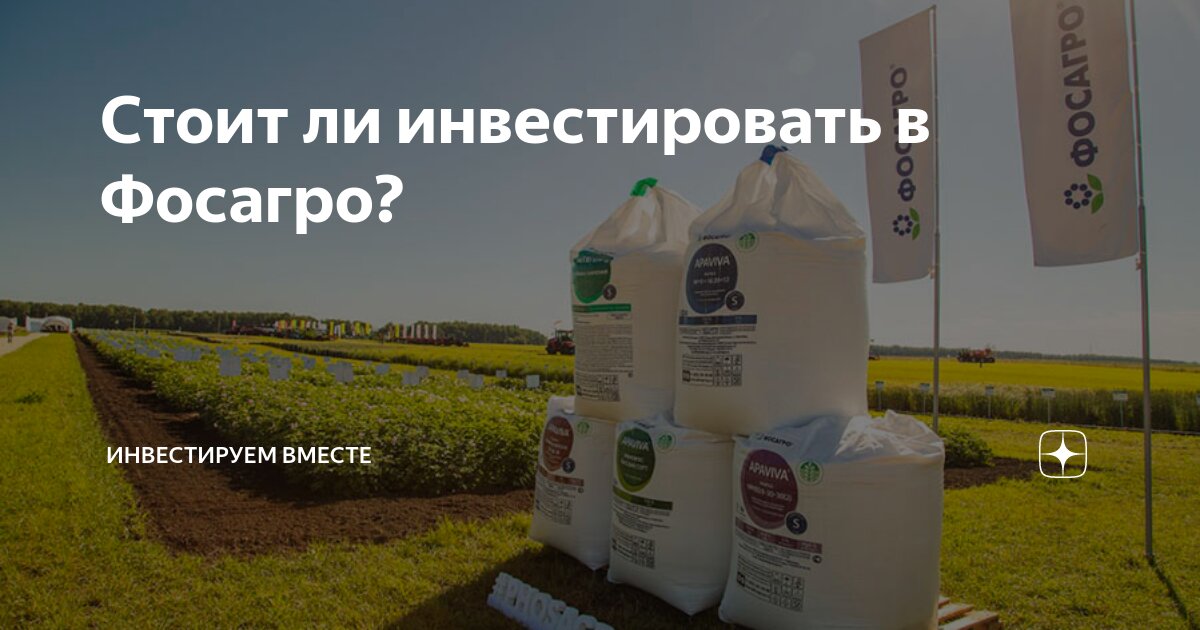 Стоит ли инвестировать в Фосагро Инвестируем Вместе Дзен