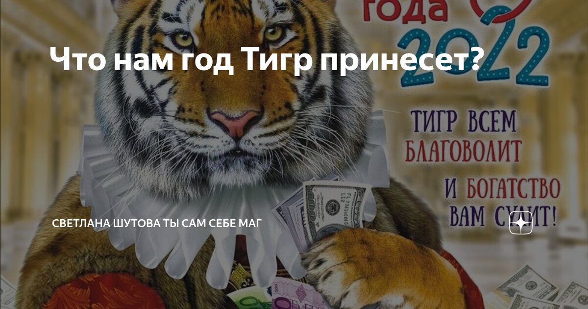 Что нам год Тигр принесет Светлана Шутова ТЫ САМ СЕБЕ МАГ Дзен