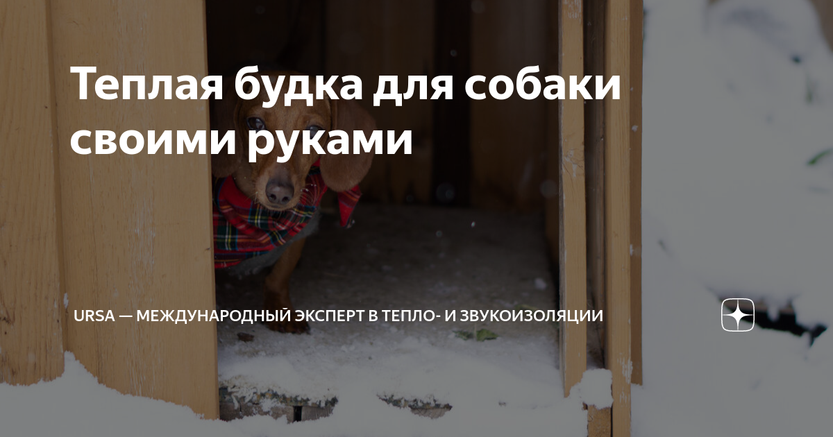 Теплая будка для собаки своими руками | Стекловолокно | ТЕХНОНИКОЛЬ | Дзен