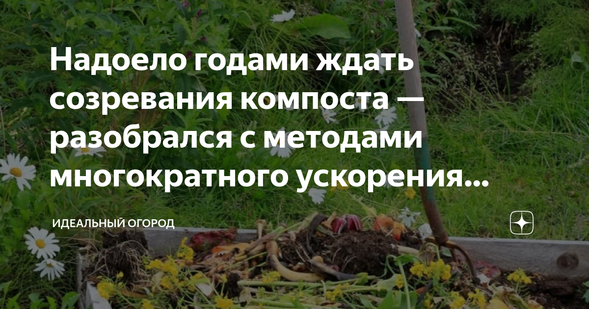 Надоело годами ждать созревания компоста — разобрался с методами ...