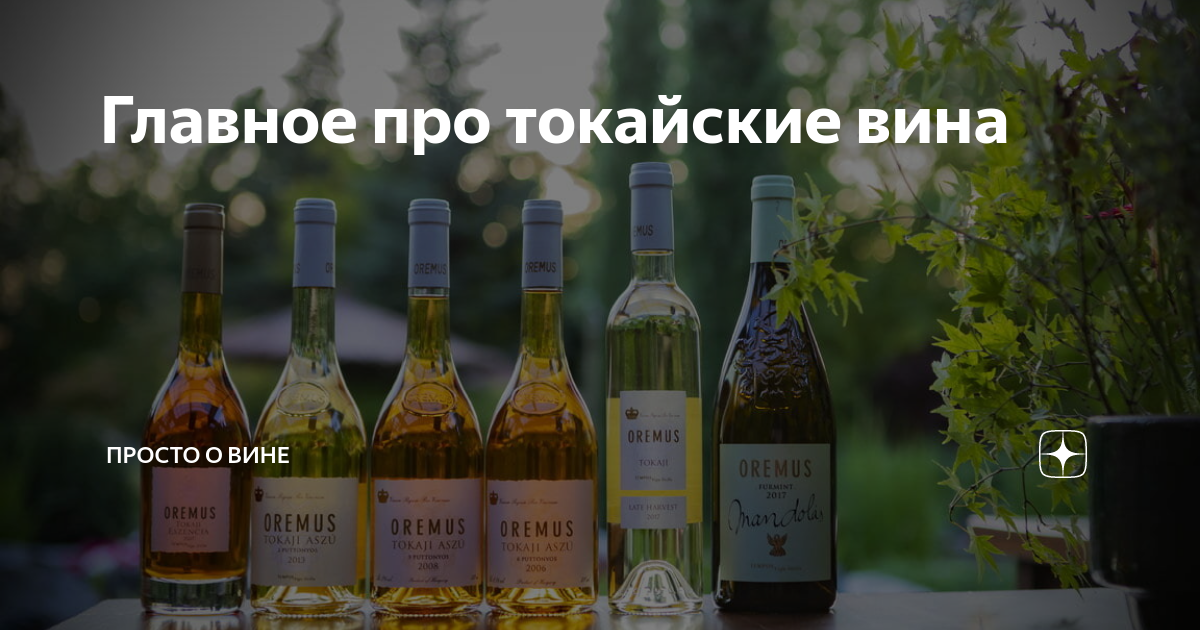 Главное про токайские вина | ПРОСТО О ВИНЕ | Дзен