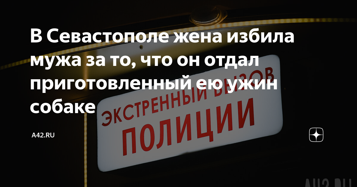 В Севастополе жена избила мужа за то, что он отдал приготовленный ею ужин собаке | A42.RU | Дзен