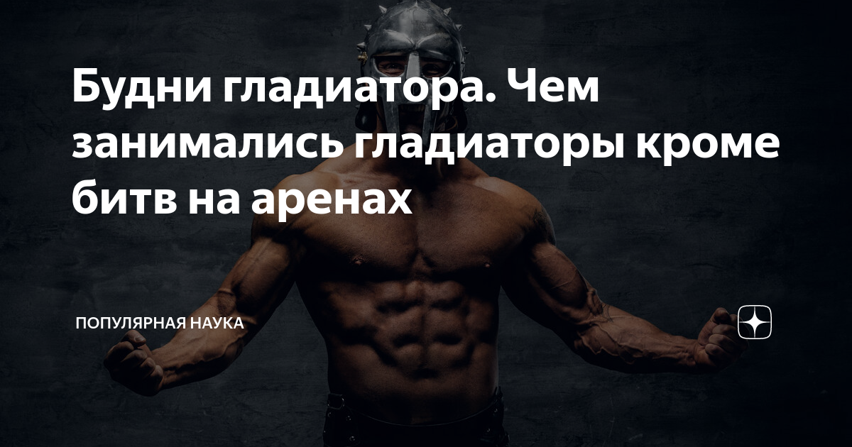 Будни гладиатора. Чем занимались гладиаторы кроме битв на аренах ...