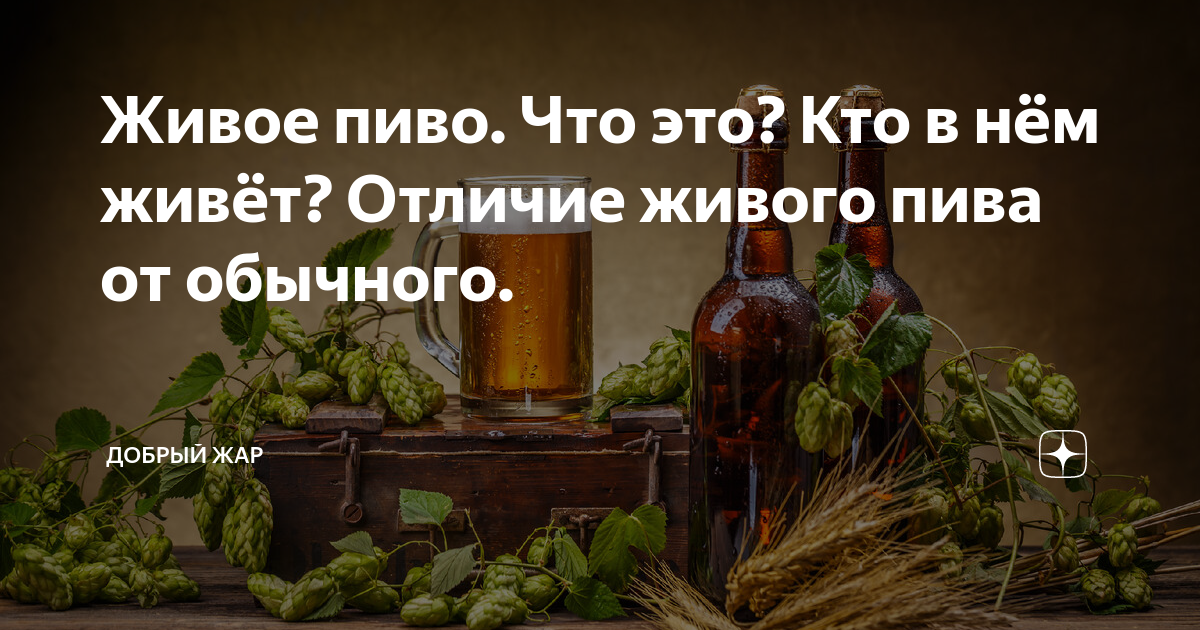 Живое пиво. Что это? Кто в нём живёт? Отличие живого пива от обычного ...