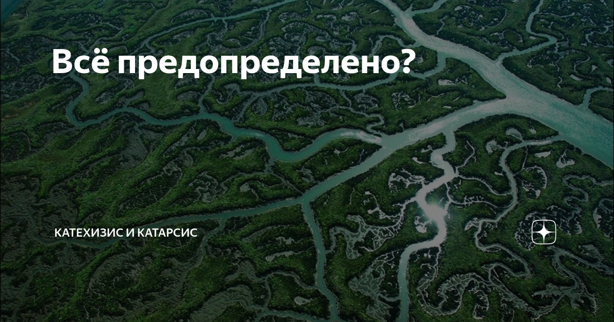 Всё предопределено? | Катехизис и Катарсис | Дзен