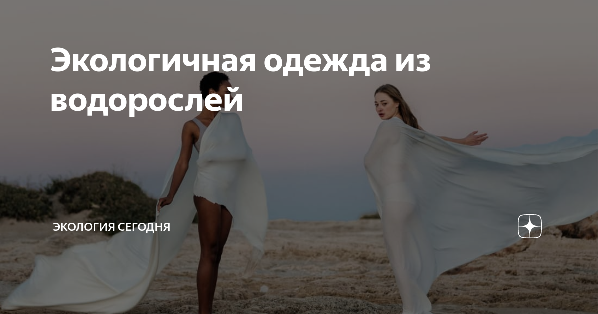 Экологичная одежда из водорослей | Энергия из отходов | Дзен