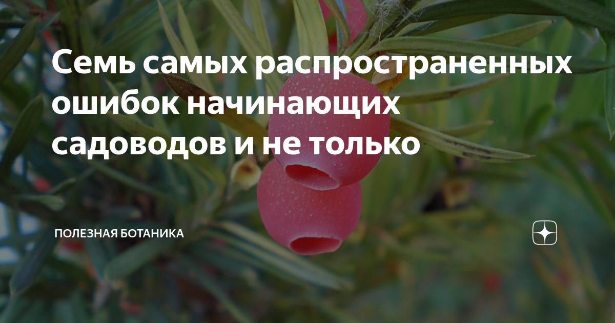 Семь самых распространенных ошибок начинающих садоводов и не только ...
