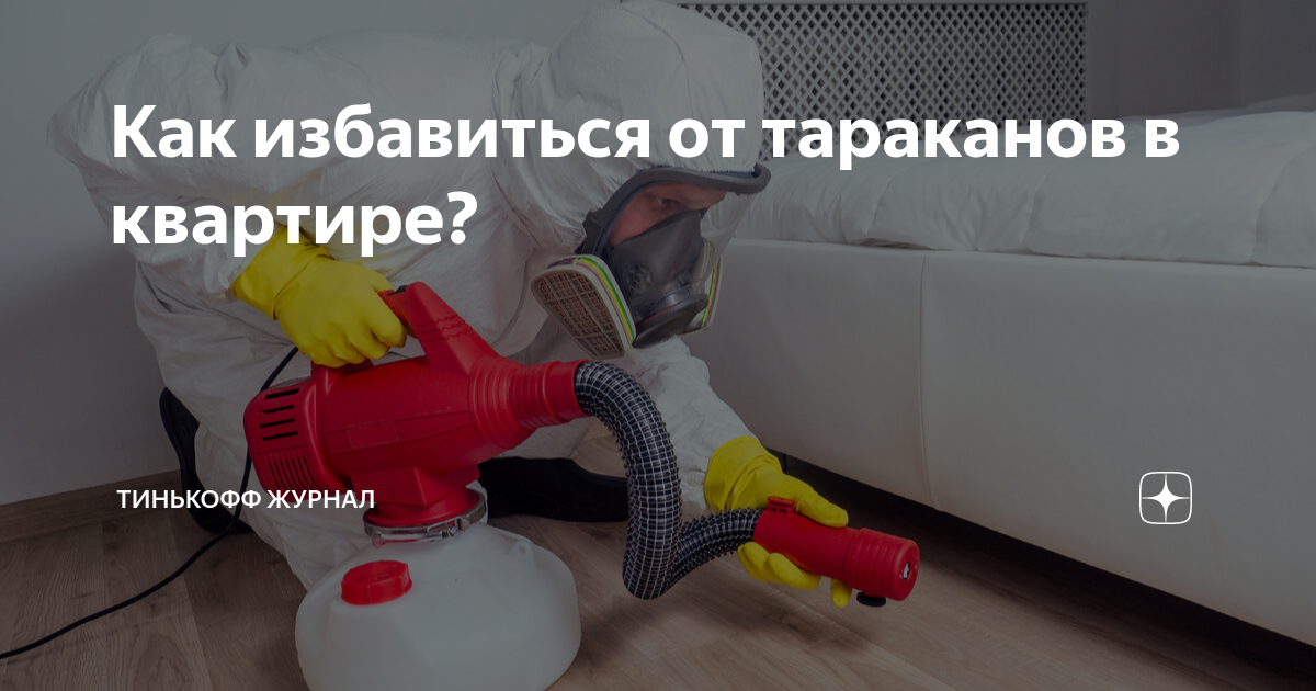 Как избавиться от тараканов в квартире? | Т—Ж | Дзен