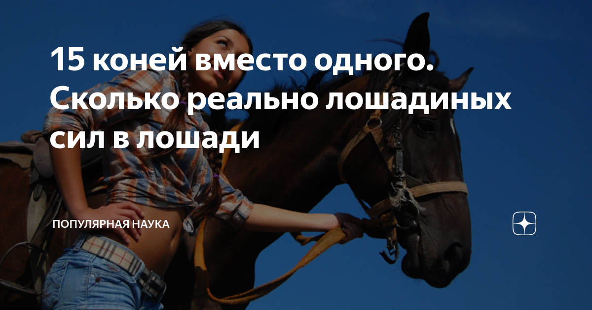 15 коней вместо одного. Сколько реально лошадиных сил в лошади ...