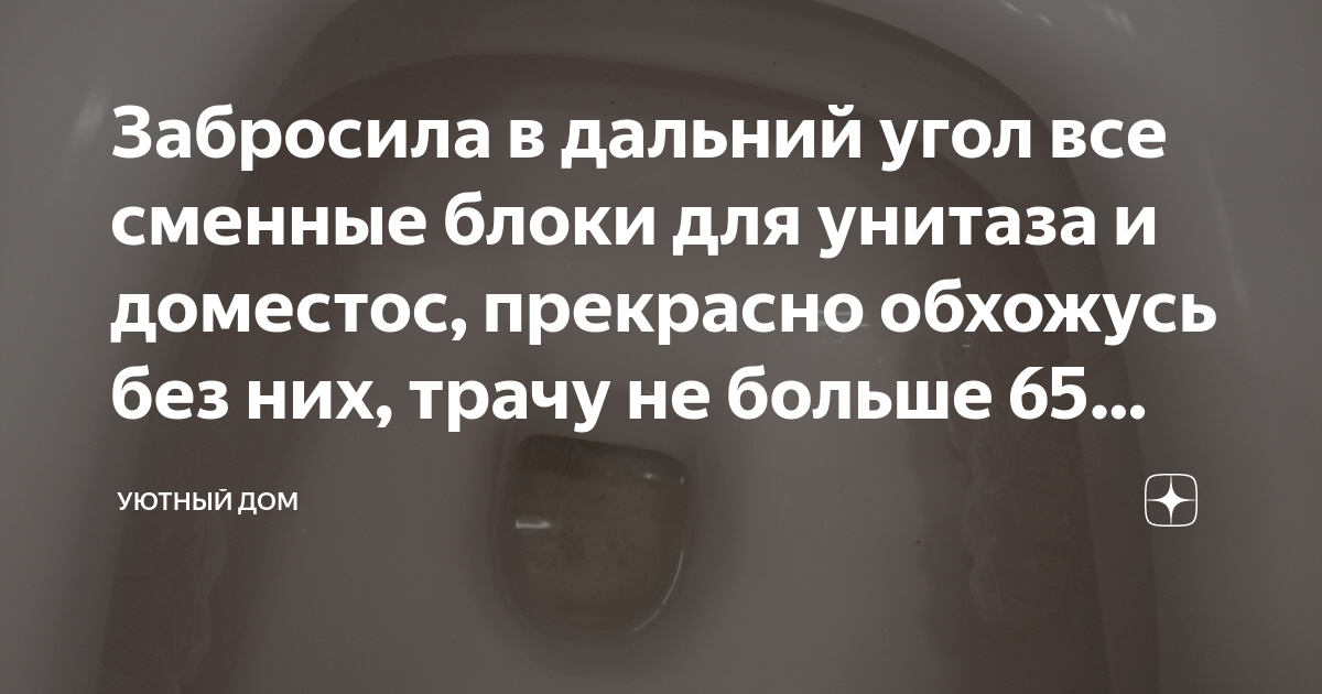 Забросила в дальний угол все сменные блоки для унитаза и доместос ...