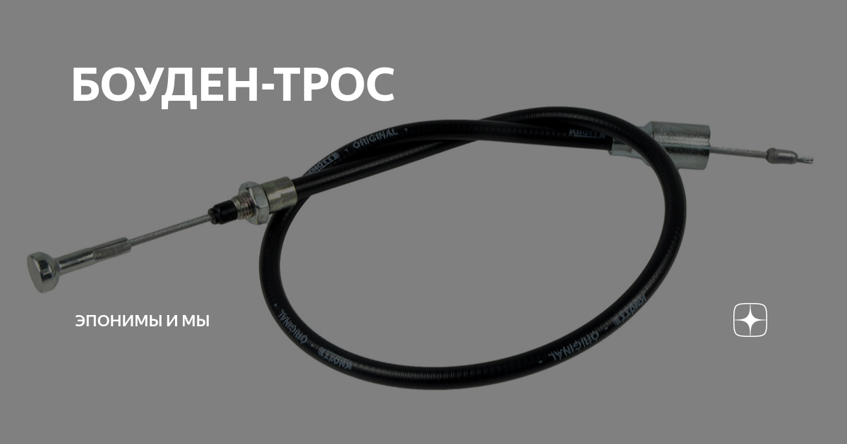 БОУДЕН-ТРОС | Эпонимы и Мы | Дзен