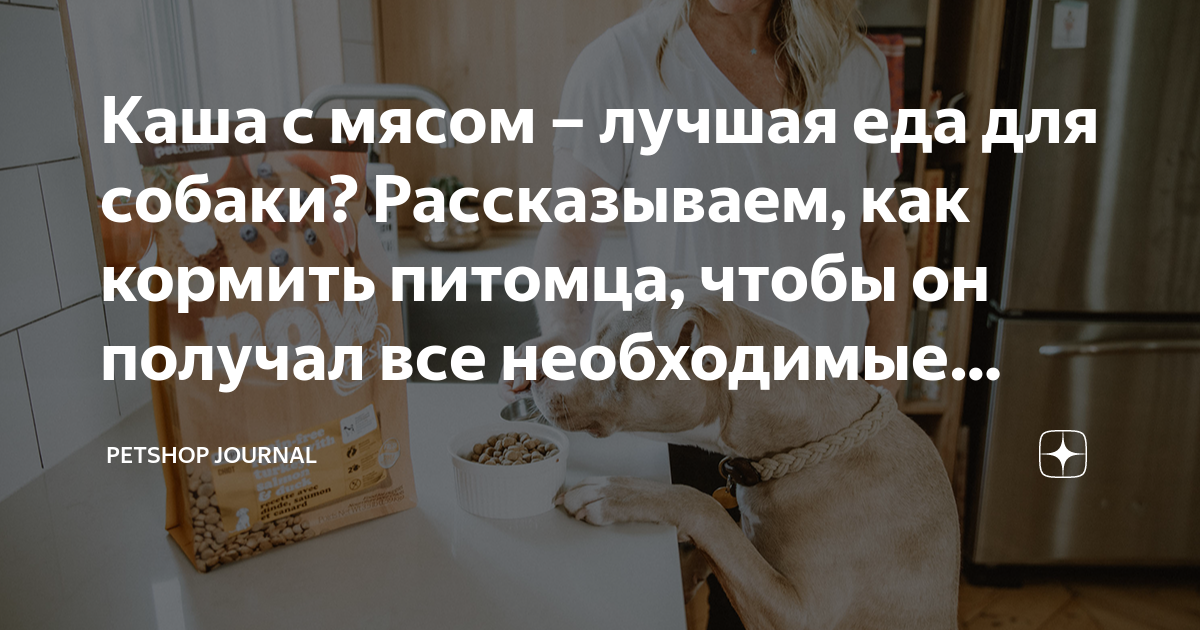 Каша с мясом – лучшая еда для собаки? Рассказываем, как кормить питомца ...