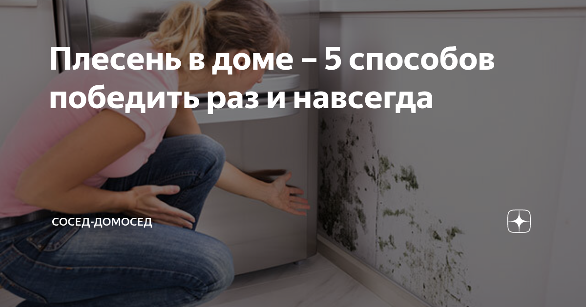 Плесень в доме 5 способов победить раз и навсегда Сосед Домосед Дзен