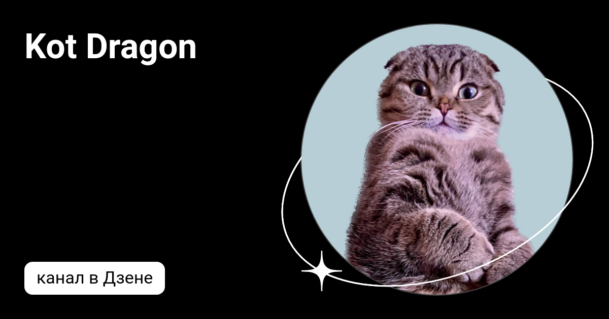 Kot Dragon | Дзен