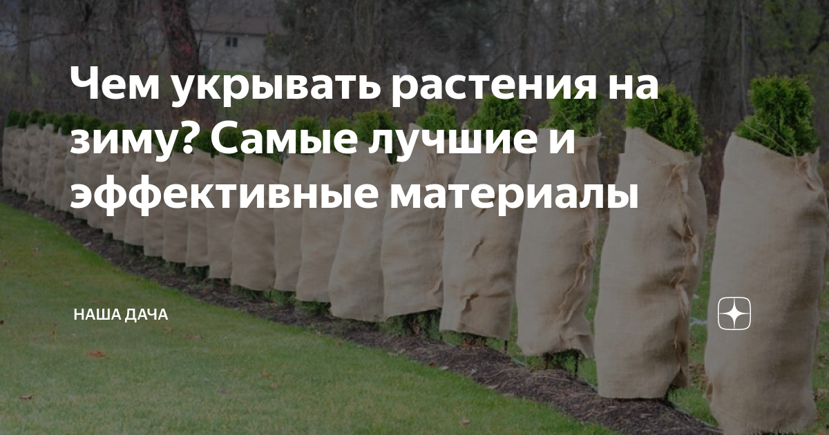Чем укрывать растения на зиму Самые лучшие и эффективные материалы