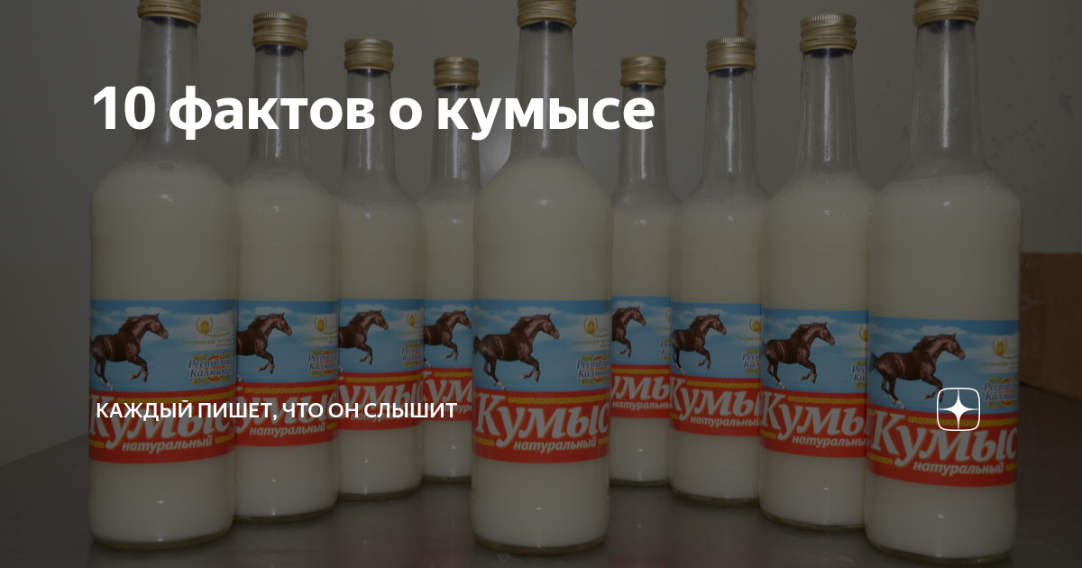 10 фактов о кумысе Каждый пишет что он слышит Дзен
