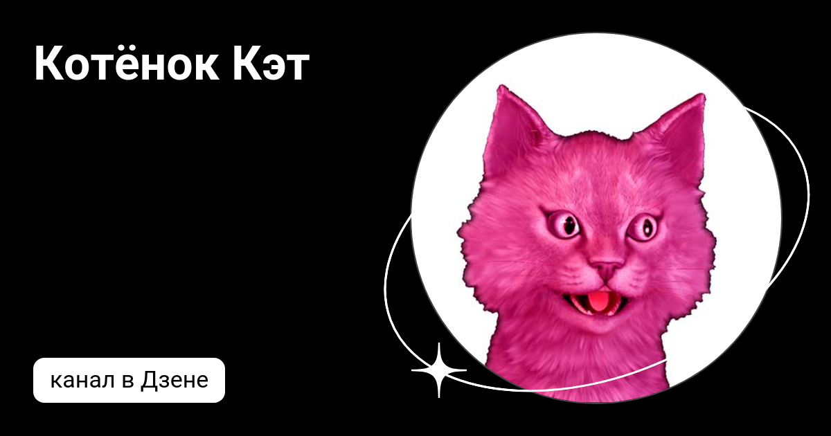 Котёнок Кэт | Дзен