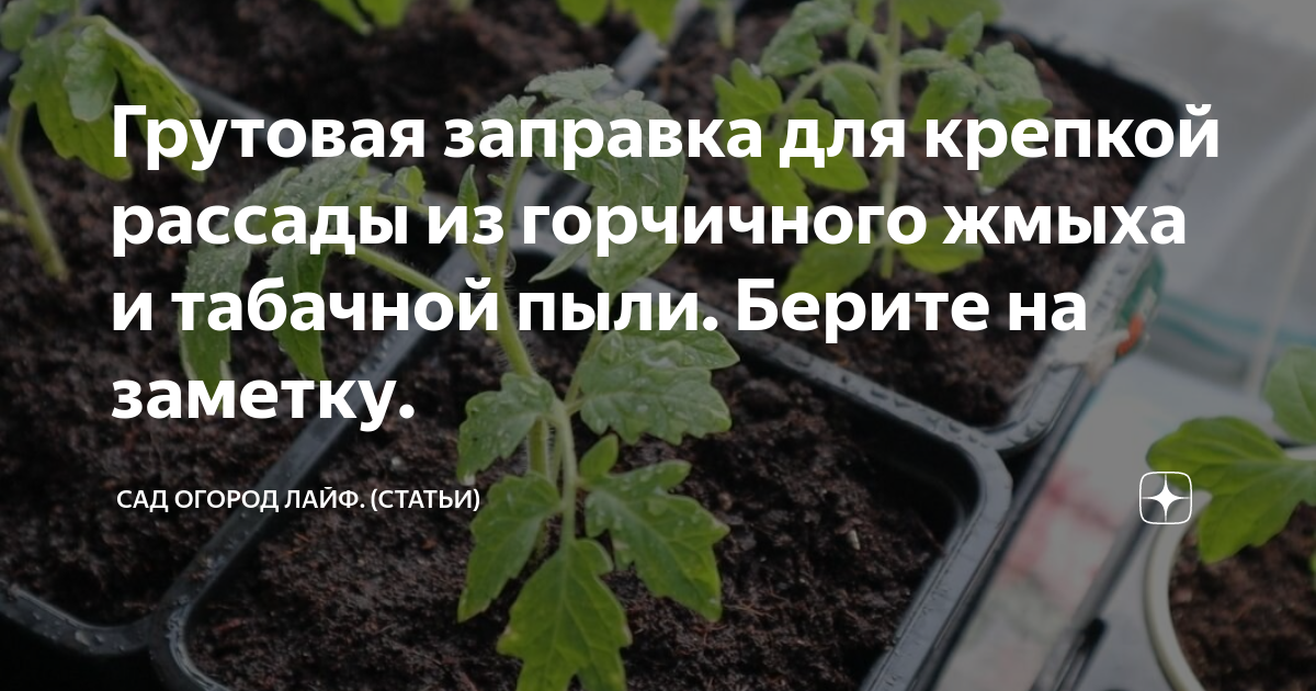 Грутовая заправка для крепкой рассады из горчичного жмыха и табачной ...