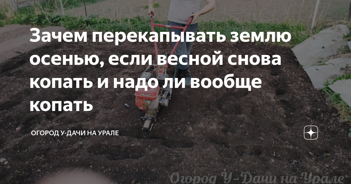 Зачем перекапывать землю осенью, если весной снова копать и надо ли ...