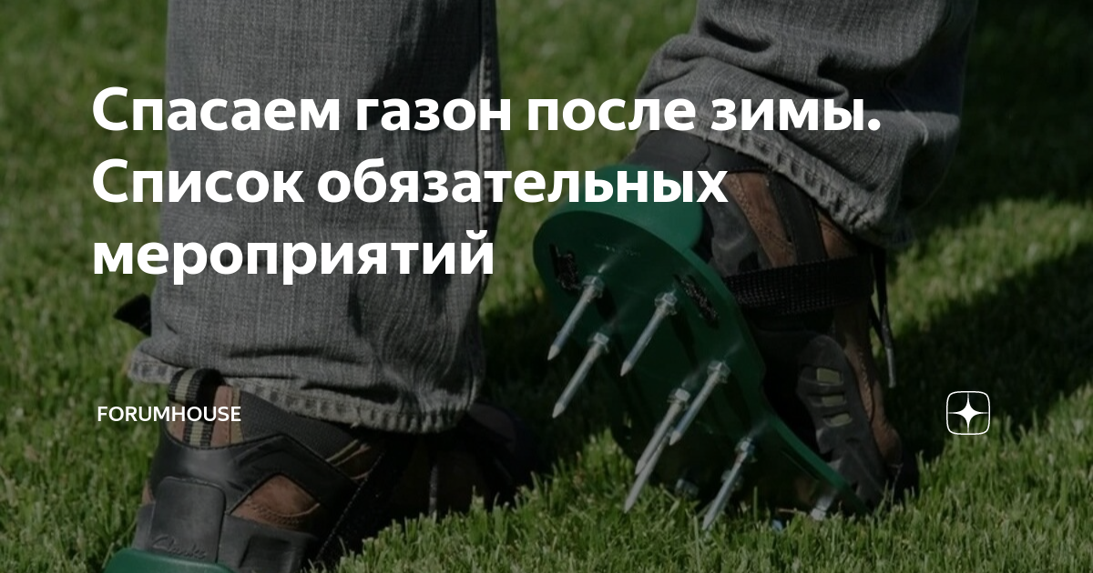 Спасаем газон после зимы. Список обязательных мероприятий | FORUMHOUSE ...