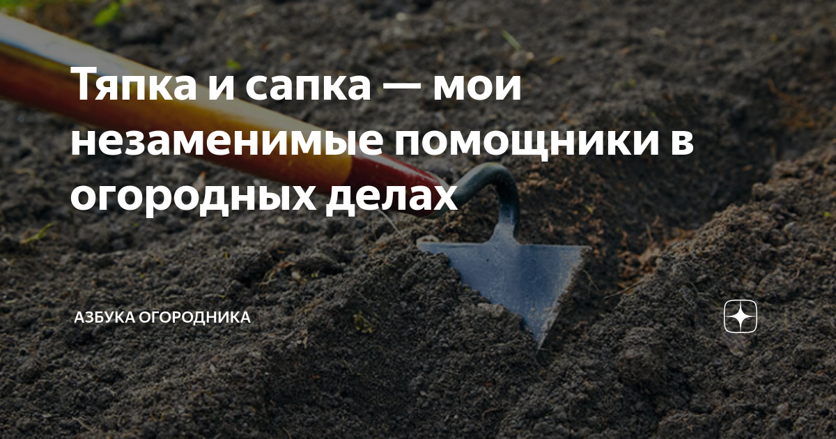 Тяпка и сапка — мои незаменимые помощники в огородных делах | Азбука ...