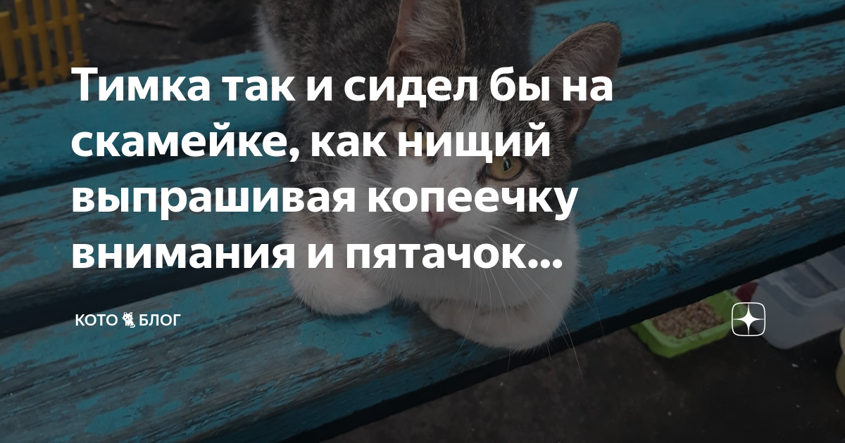 Тимка так и сидел бы на скамейке, как нищий выпрашивая копеечку ...