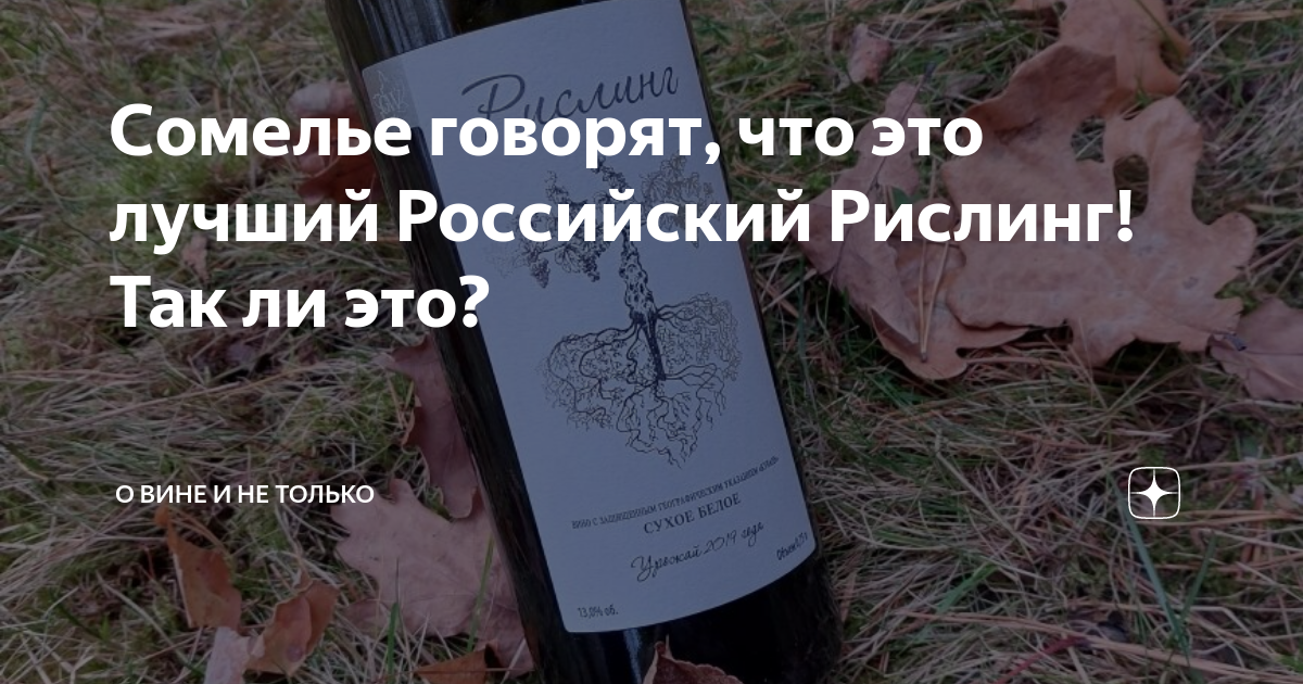 Сомелье говорят, что это лучший Российский Рислинг! Так ли это? | ВИНТ ...