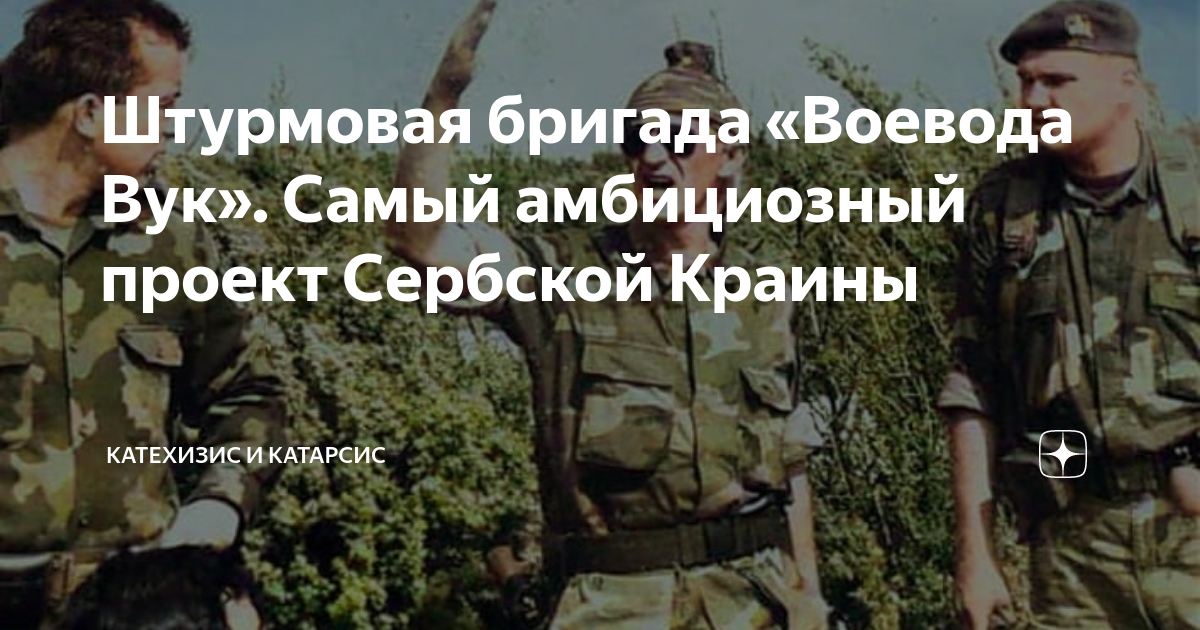 Штурмовая бригада «Воевода Вук Самый амбициозный проект Сербской
