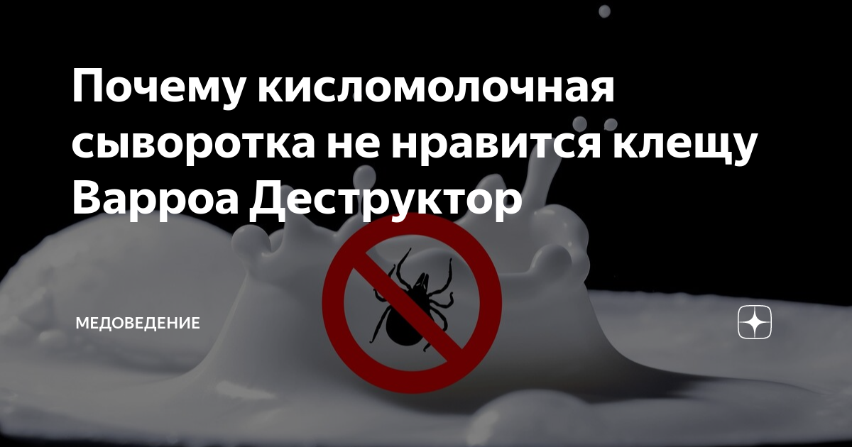 Почему кисломолочная сыворотка не нравится клещу Варроа Деструктор ...