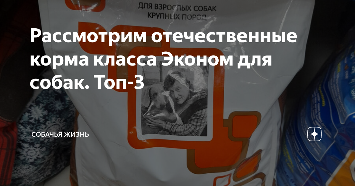 Рассмотрим отечественные корма класса Эконом для собак. Топ-3 | СобачьЯ ...