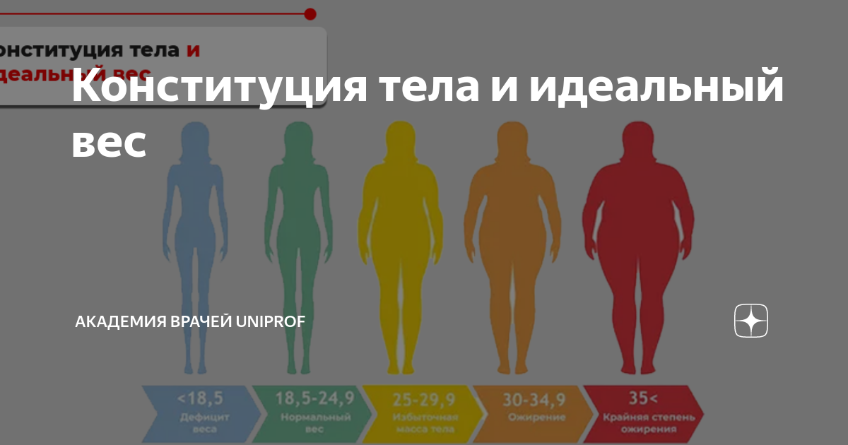 Конституция тела и идеальный вес Академия врачей Uniprof Дзен