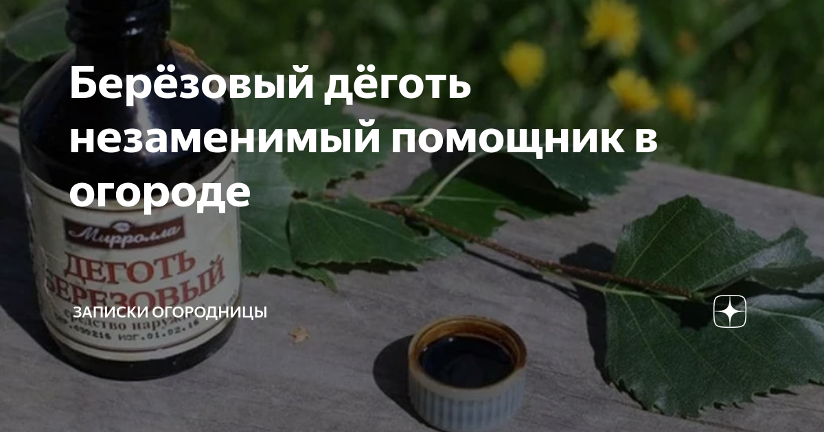 Берёзовый дёготь незаменимый помощник в огороде | Записки огородницы | Дзен