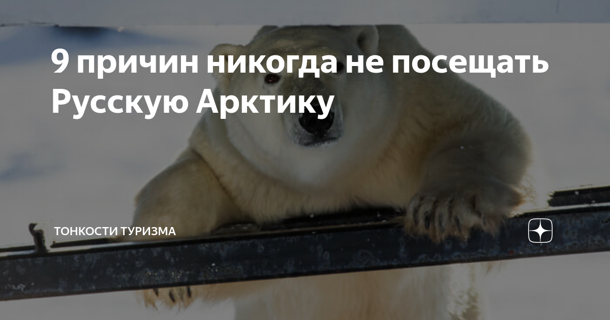 9 причин никогда не посещать Русскую Арктику Тонкости туризма Дзен