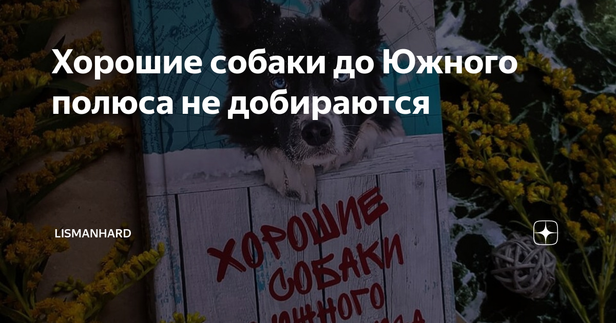 Хорошие собаки до Южного полюса не добираются | Lismanhard | Дзен
