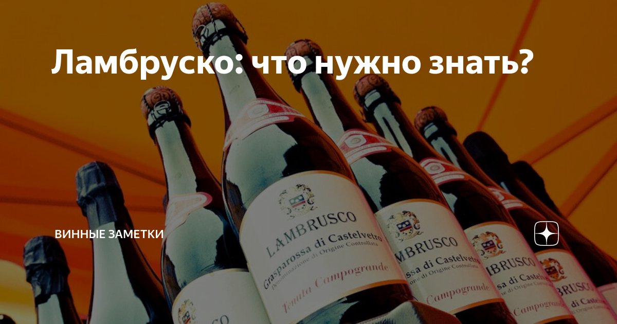 Ламбруско: что нужно знать? | Заметки сомельены | Дзен