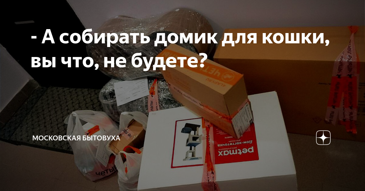 - А собирать домик для кошки, вы что, не будете? | Московская бытовуха ...