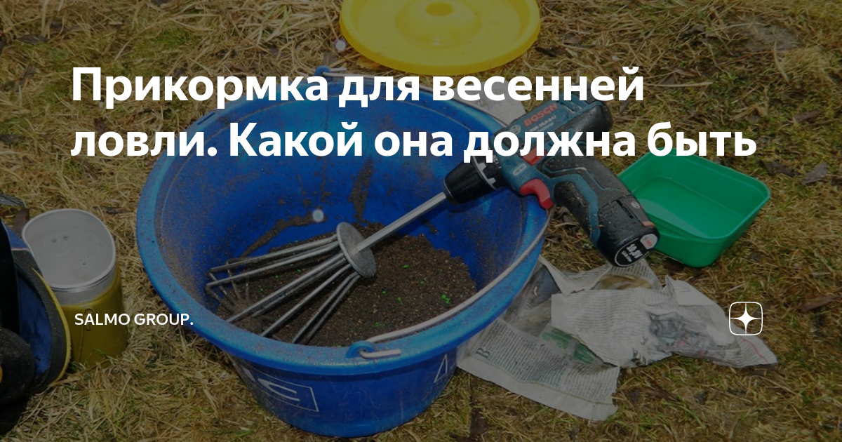Прикормка для весенней ловли. Какой она должна быть | Salmo Group. | Дзен
