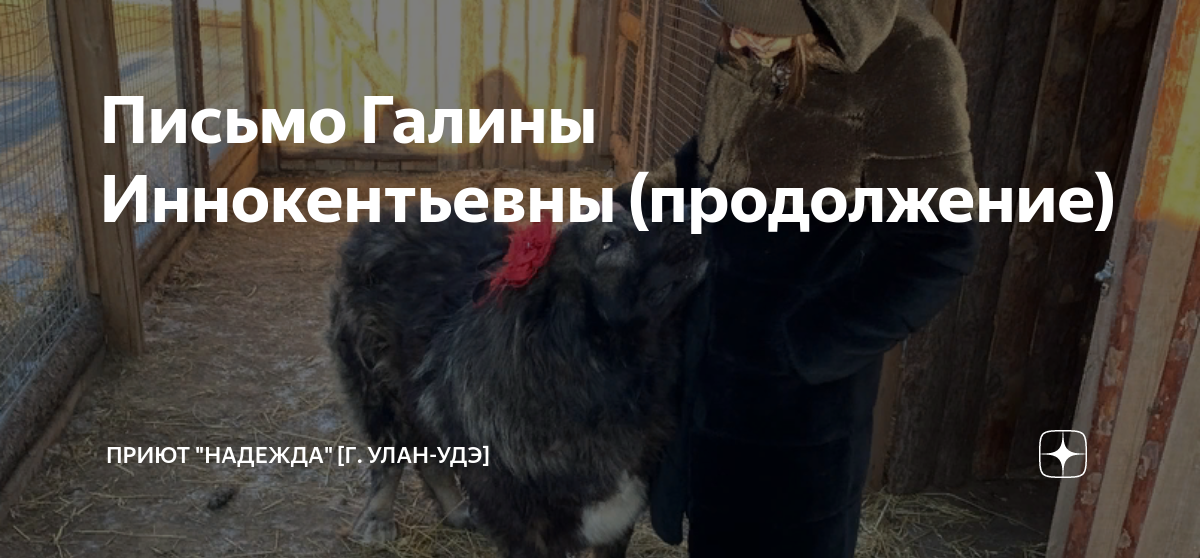 Письмо Галины Иннокентьевны продолжение Под крылом надежды [ГОО
