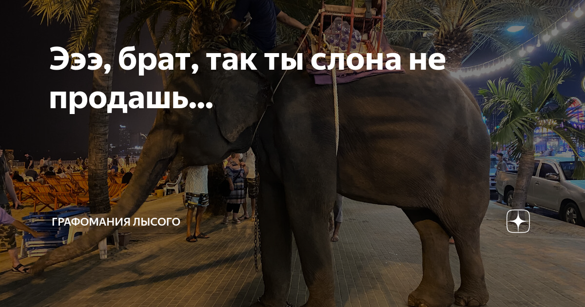 Эээ, брат, так ты слона не продашь... | Графомания Лысого | Дзен