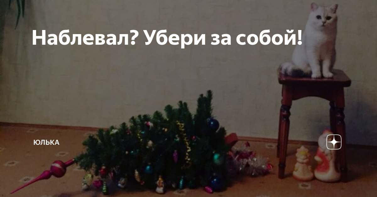 Наблевал? Убери за собой! | Юлька | Дзен