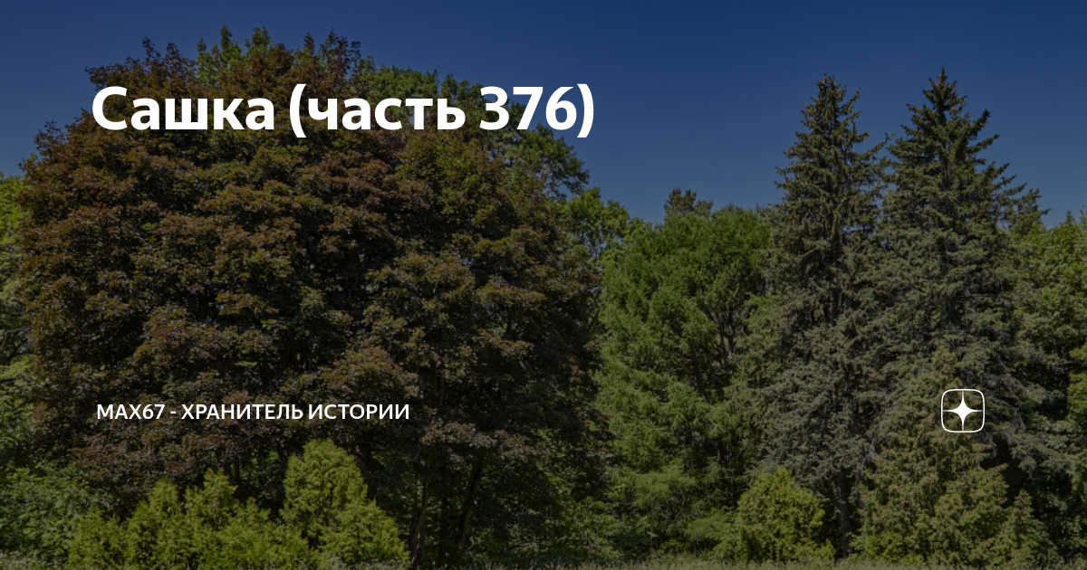 Сашка (часть 376) | MAX67 - Хранитель Истории | Дзен