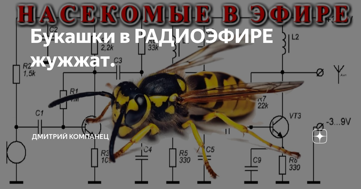 Букашки в РАДИОЭФИРЕ жужжат Дмитрий Компанец Дзен