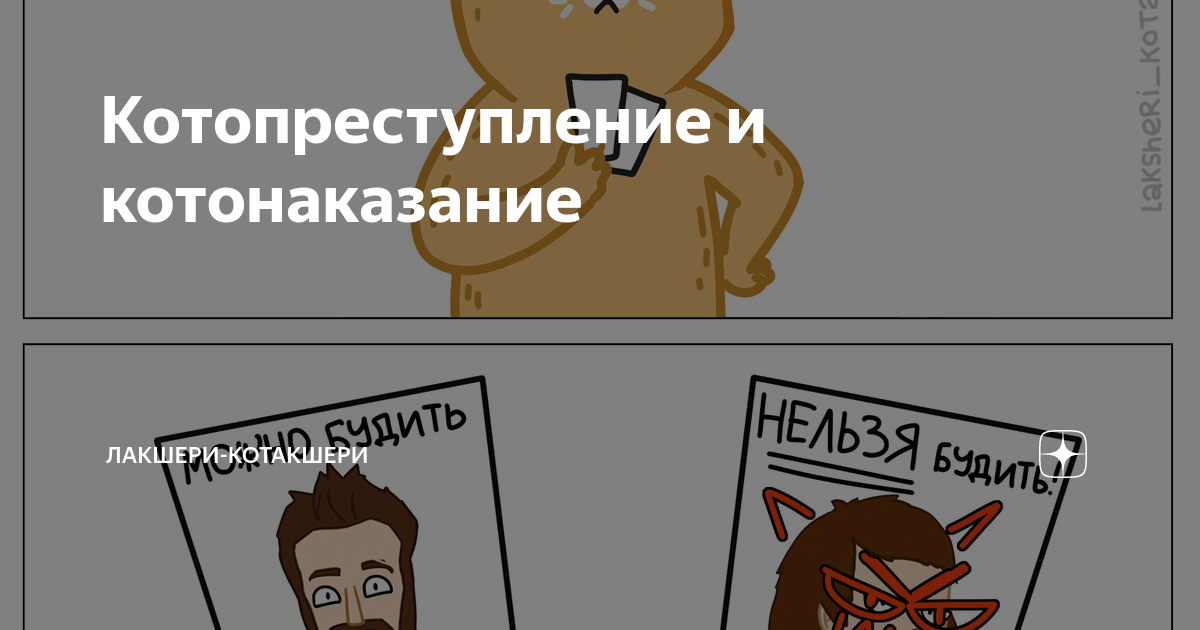Котопреступление и котонаказание Лакшери Котакшери Дзен