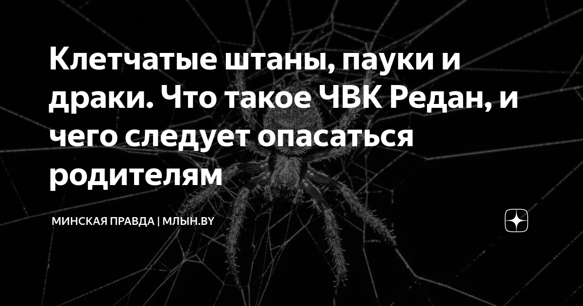 Клетчатые штаны, пауки и драки. Что такое ЧВК Редан, и чего следует ...
