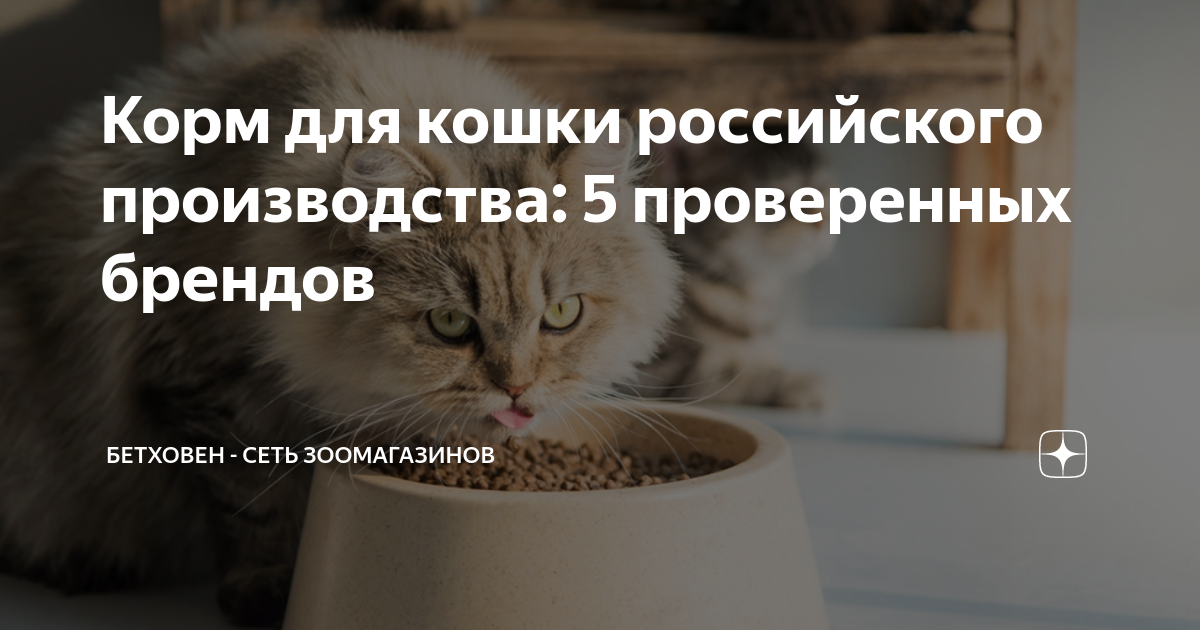 Корм для кошки российского производства: 5 проверенных брендов ...