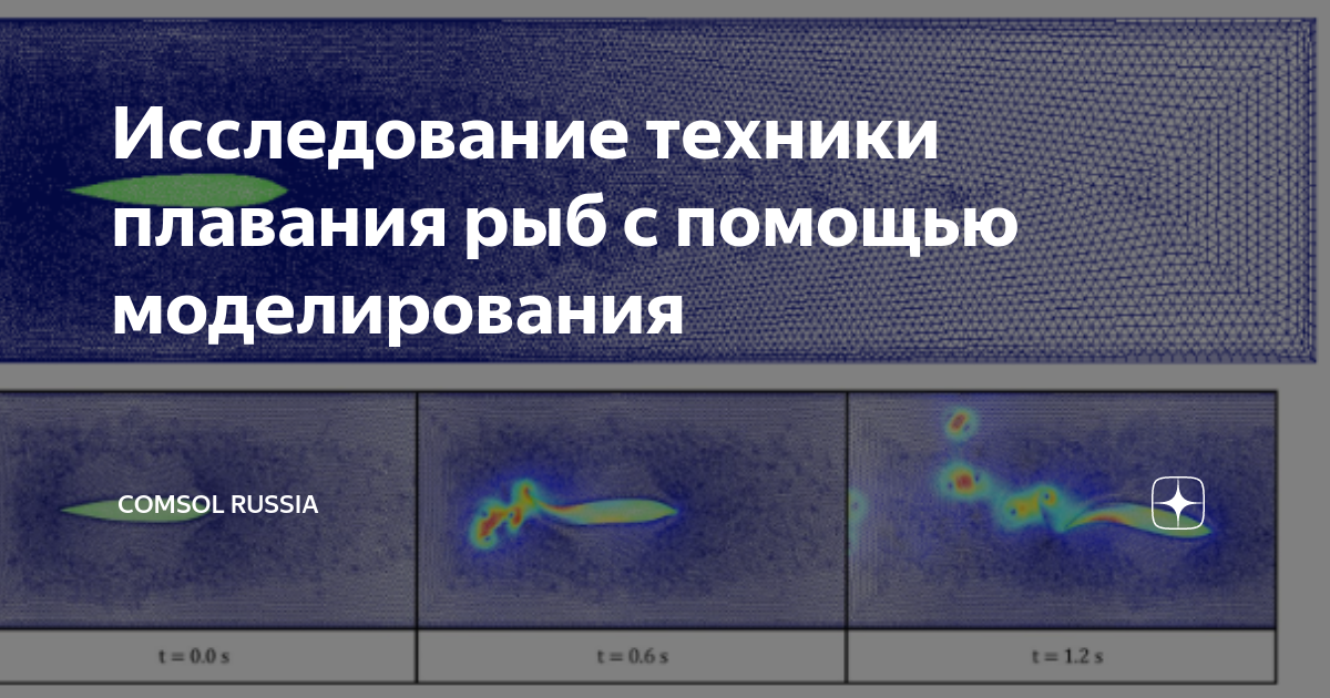 Исследование техники плавания рыб с помощью моделирования | COMSOL Russia | Дзен